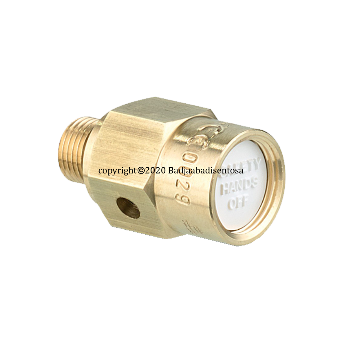 Rotarex - External Pressure Relief Valve | Badja Abadi Sentosa