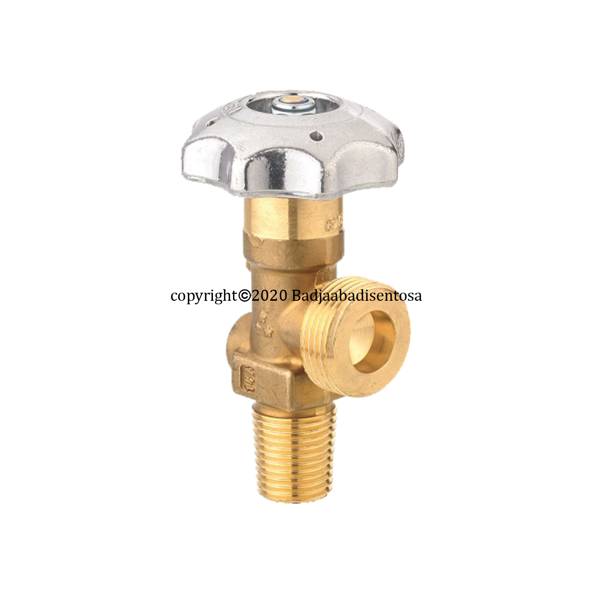 Industrial Cylinder Valve | Badja Abadi Sentosa